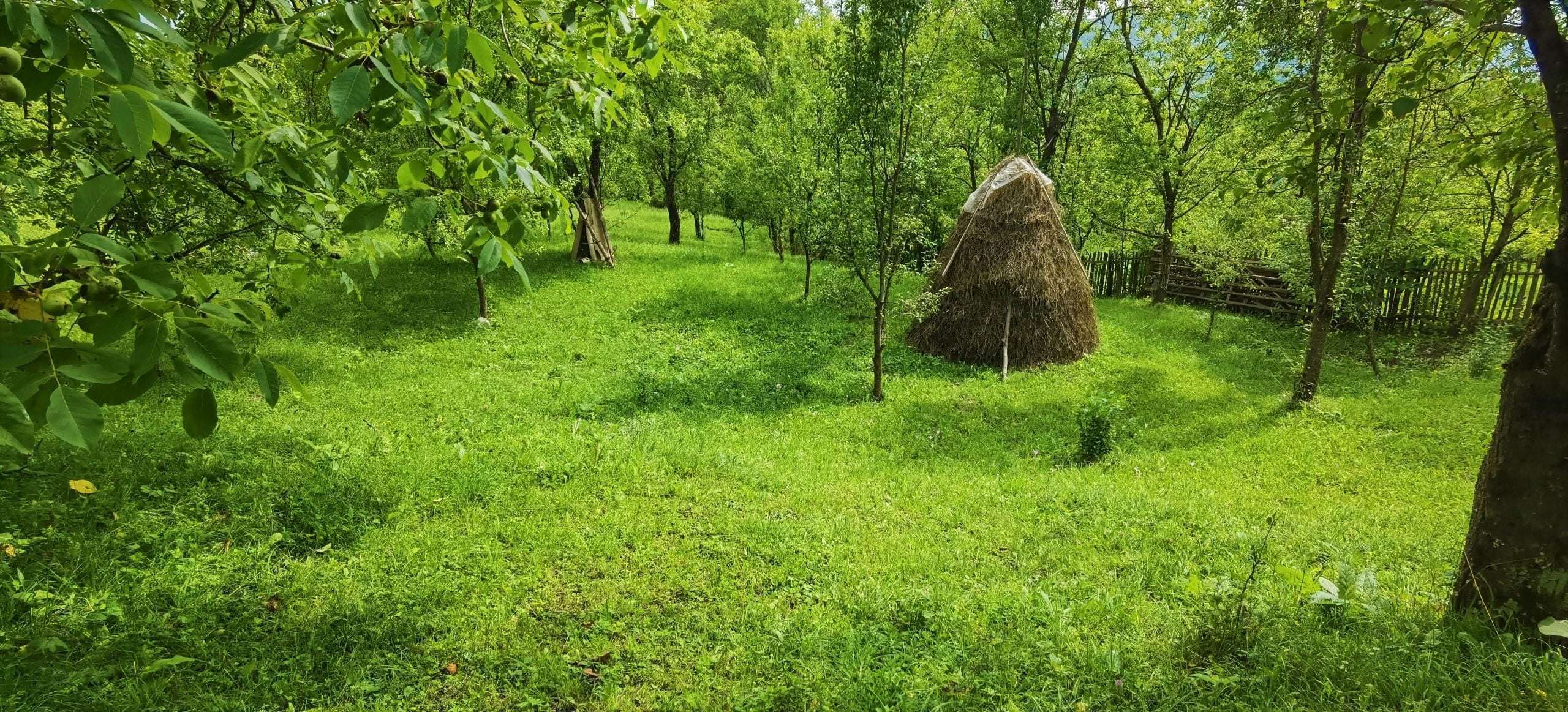 Teren mirific in Talea 2543MP - 11euro/mp , retras de la vanzare ...