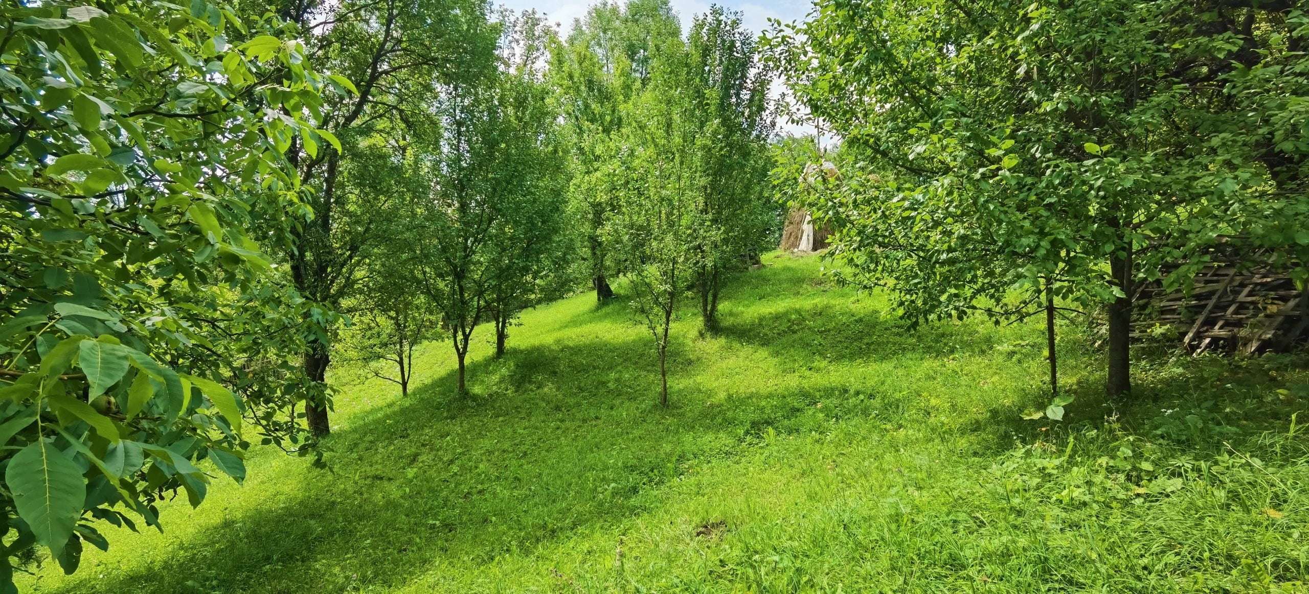 Teren mirific in Talea 2543MP - 11euro/mp , retras de la vanzare ...